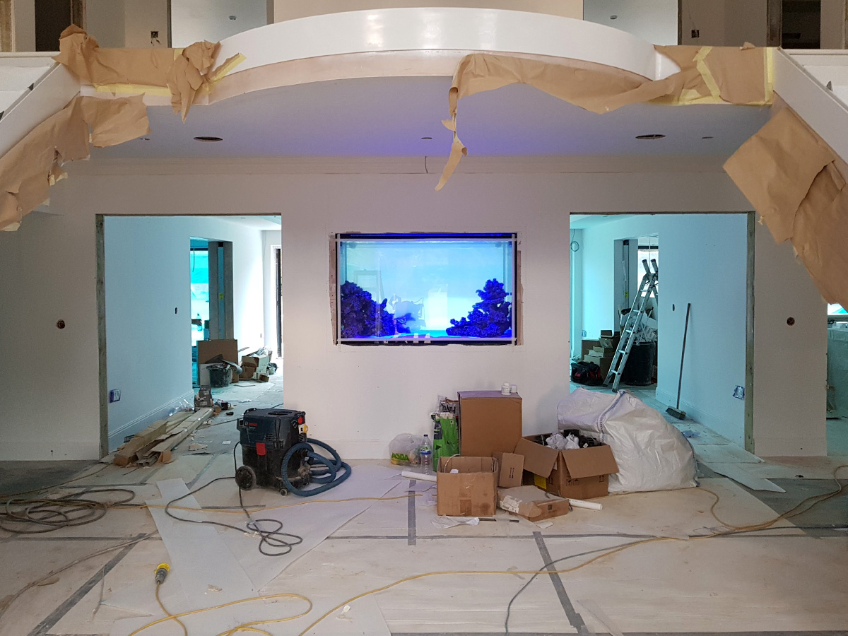 Aquarium maintenance - Aquarium Connections